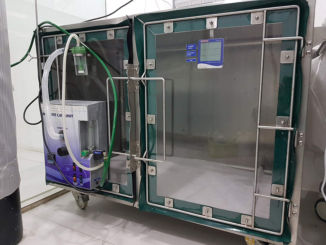 ICU_resized – Frankel Veterinary Centre