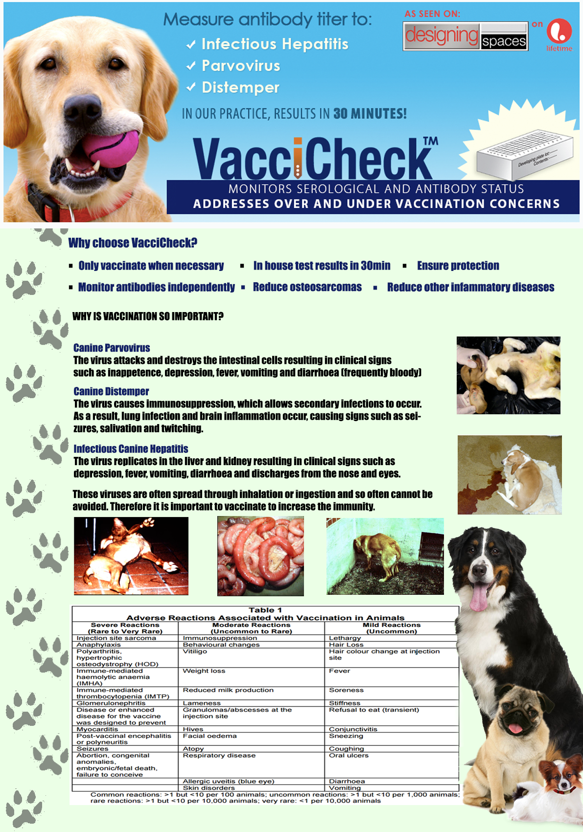 VacciCheckPoster – Frankel Veterinary Centre