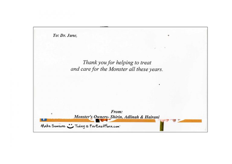 Thanks from: Shirin, Adlinah, Hairani and Monster – Frankel Veterinary ...